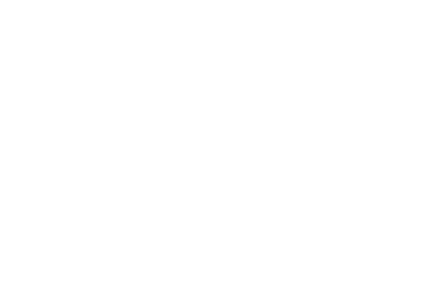 Julkalender - ESS Group®