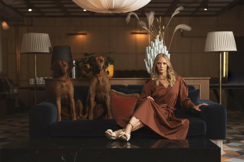 Home of ESS - ESS Group®