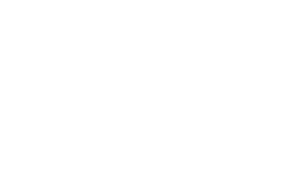 Julkalender - ESS Group®